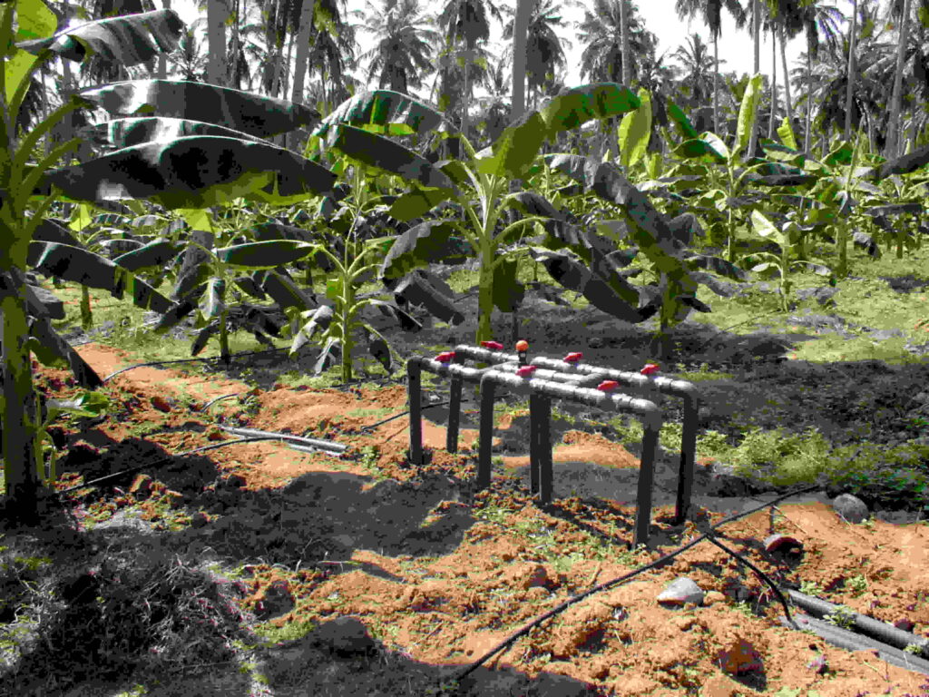 Drip irrigation projects – DTA Engineering