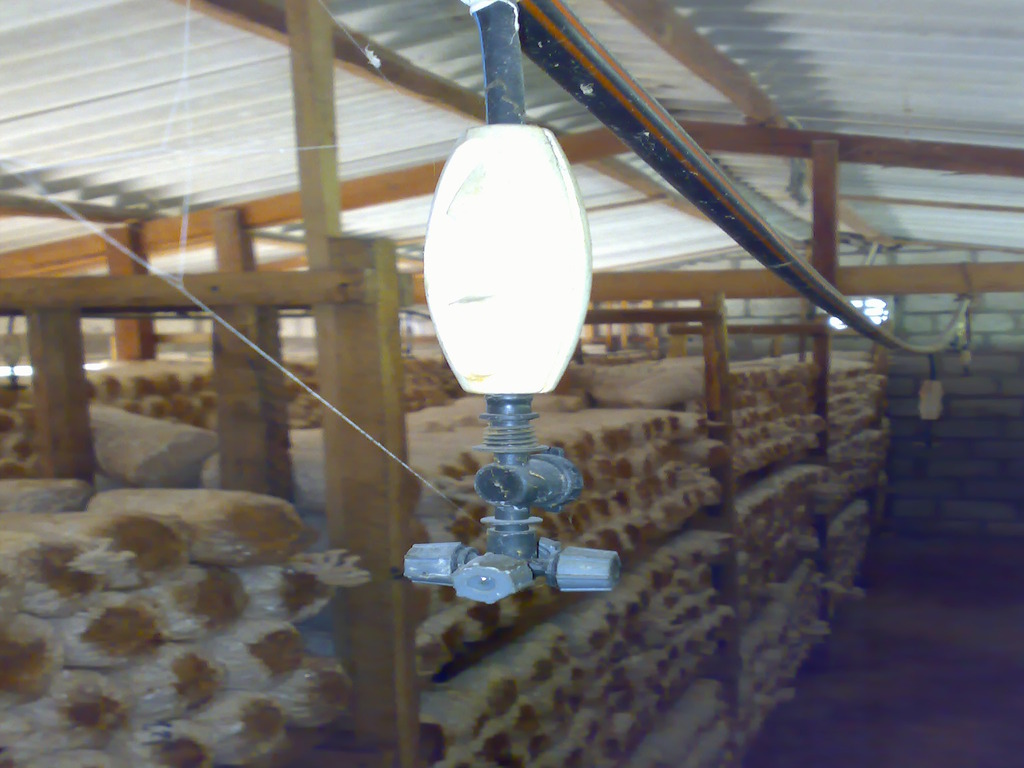Sprinkler irrigation Project – DTA ENGINEERING (PTY) LTD