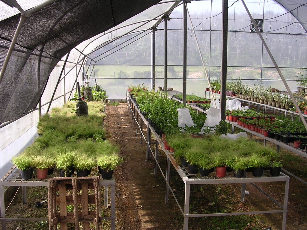 Greenhouse projects – DTA ENGINEERING (PTY) LTD