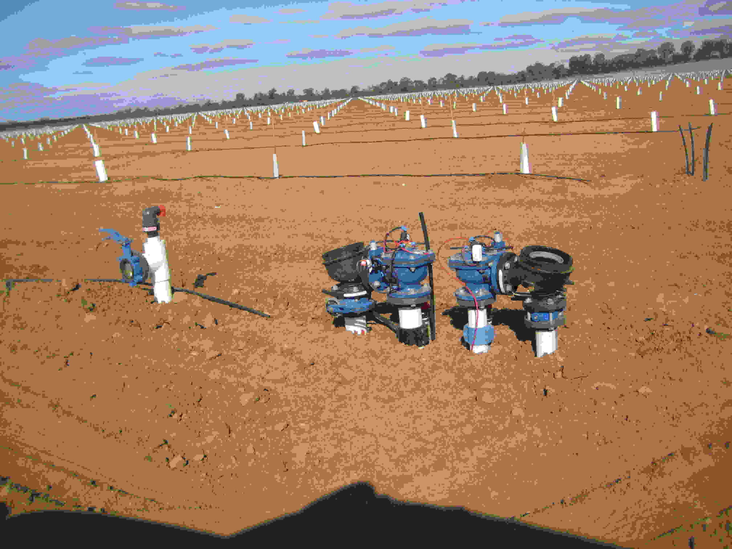 Drip irrigation projects – DTA Engineering