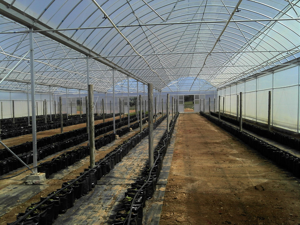 Greenhouse projects – DTA Engineering