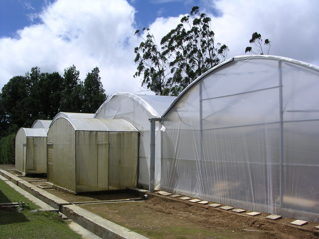 Greenhouse projects – DTA ENGINEERING (PTY) LTD