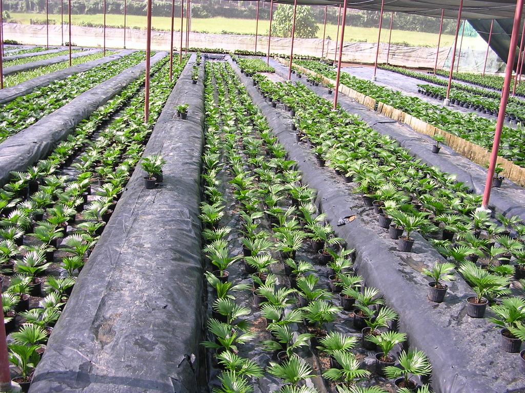 Sprinkler irrigation Project – DTA ENGINEERING (PTY) LTD