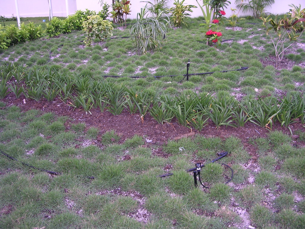 Landscape projects – DTA Engineering