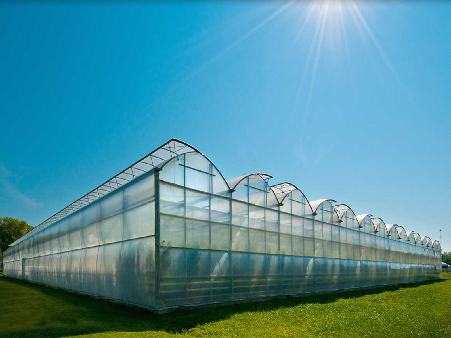 Green Houses – DTA Engineering