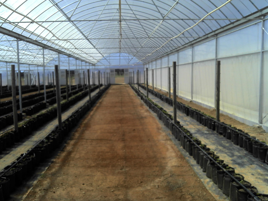 Greenhouse projects – DTA ENGINEERING (PTY) LTD